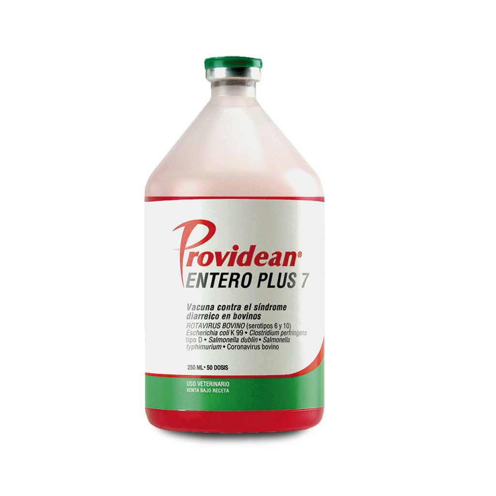 Providean Entero Plus 7 | Vacuna | AGV SALUD ANIMAL
